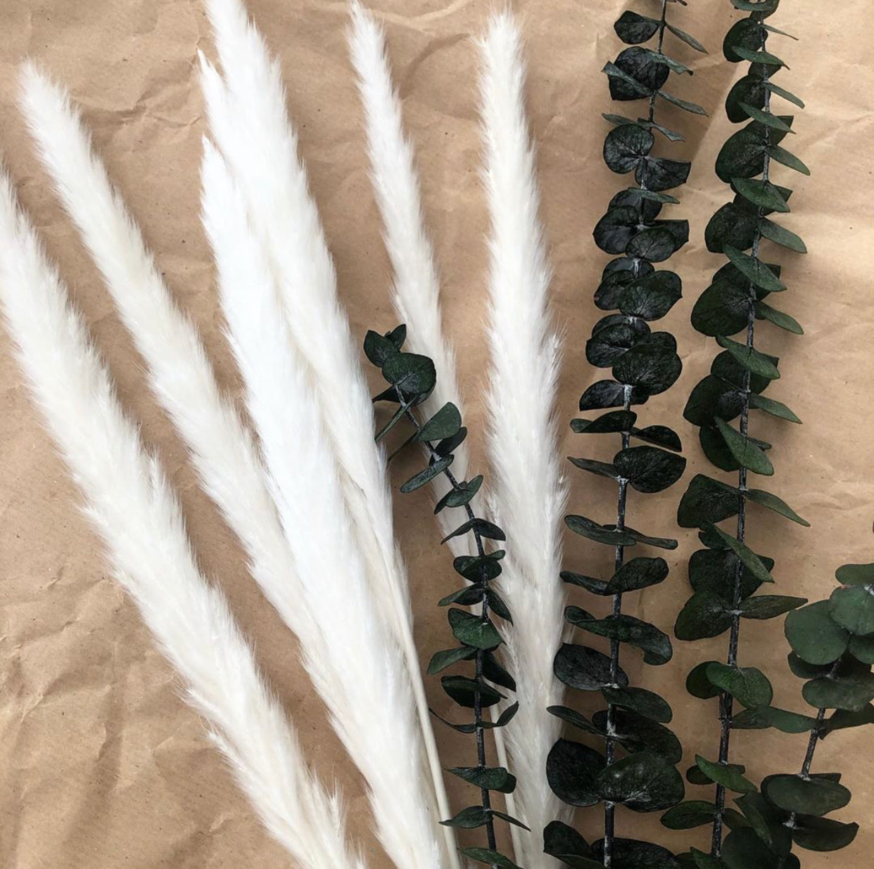 Small Pampas – PampasBox